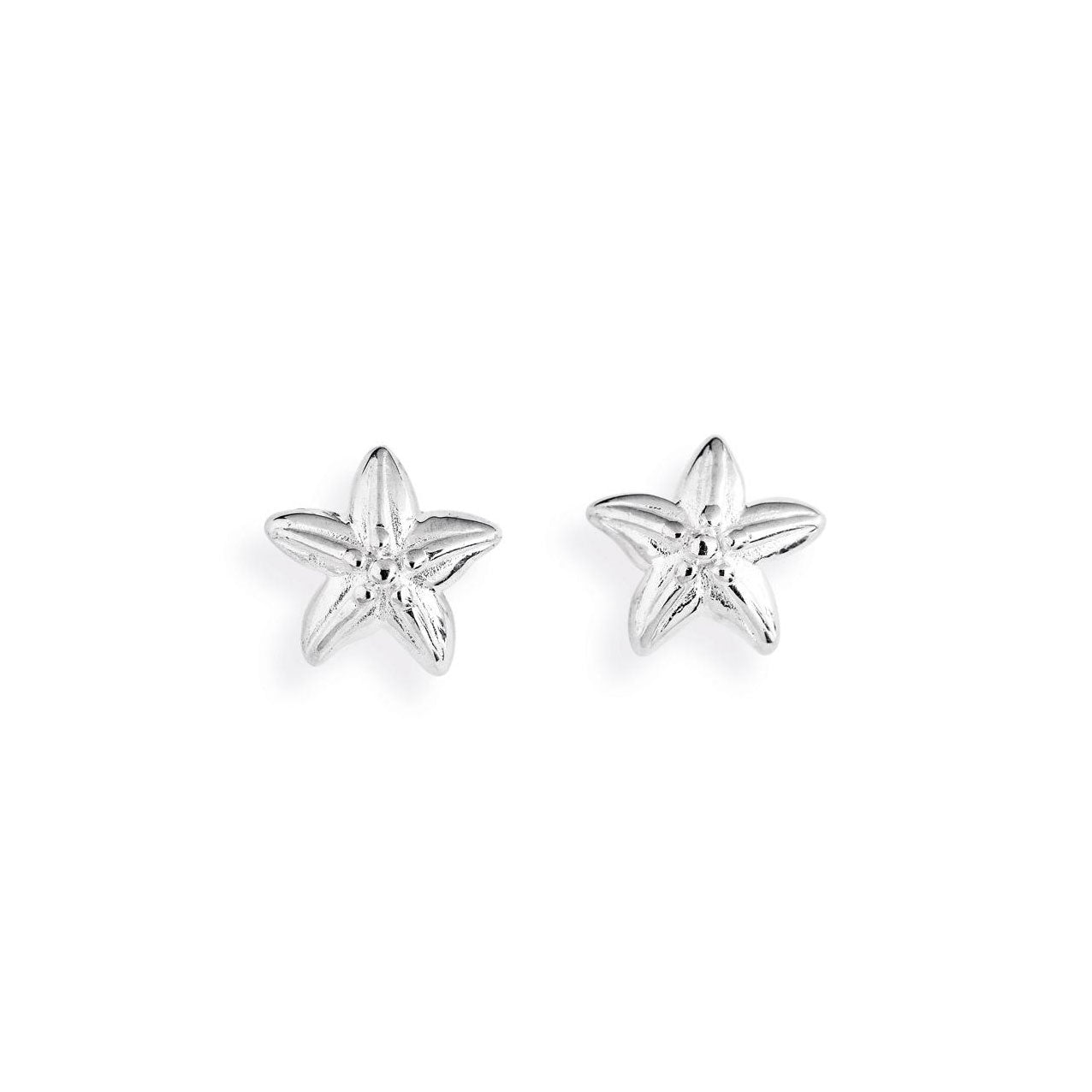 Sealife Mini Seestern Ohrstecker aus Sterlingsilber – Heartbreaker Schmuck